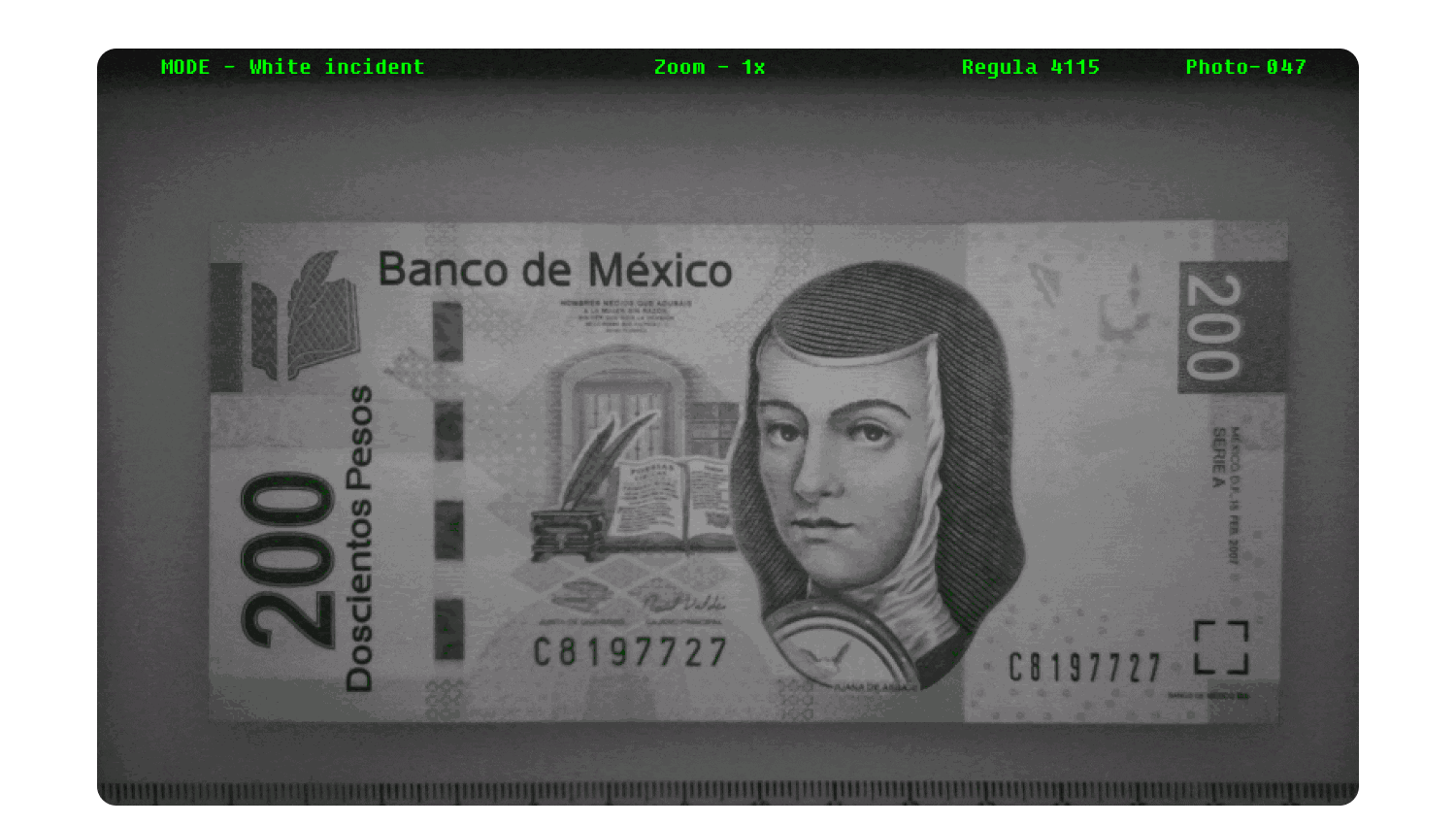 How to Tell if Money is Fake: Detect Counterfeit Money